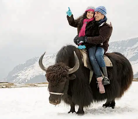 Fancy a yak ride to the breathtaking Sikkimese scenery? - The Economic ...