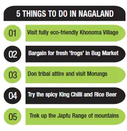 This holiday, experience Glamping (Glamorous Camping) in Nagaland's ...