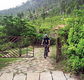 Camp near Mumbai's Shirota Lake or re-create your 'DDLJ' moment in the ...