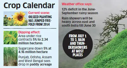 Monsoon surge expands Kharif crop area by 82% - The Economic Times