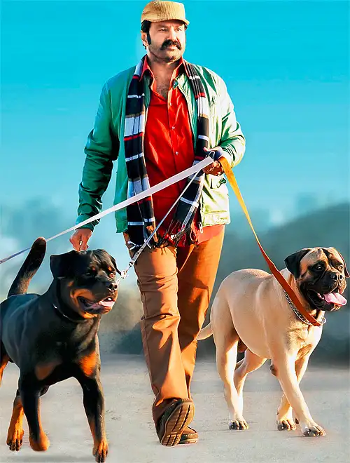 Being a mass leader is tougher than playing a mass hero: Balakrishna ...