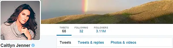 Welcome to Twitter! Five big debuts of 2015 - The Economic Times