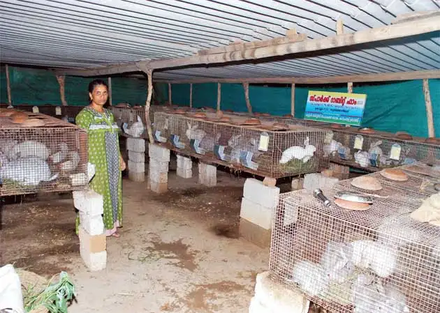 Empowered by Kudumbashree movement, Kerala's women are making their ...