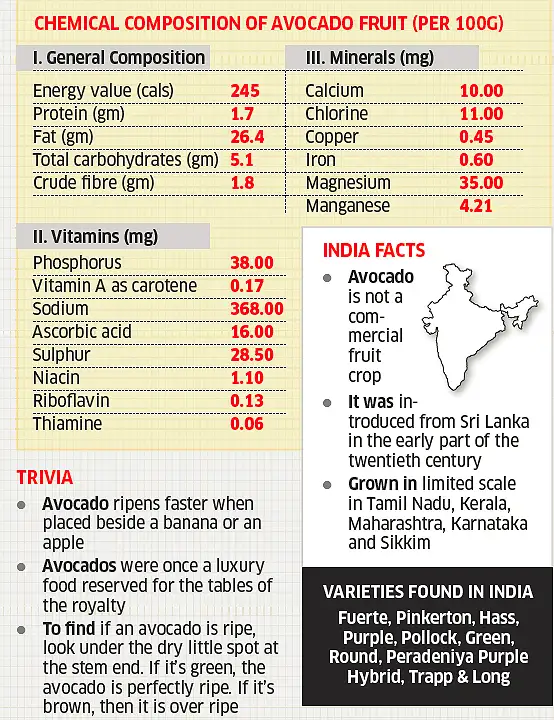 Interesting facts about avocado you didn't know - The Economic Times