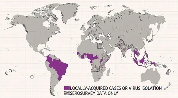 Zika virus: Symptoms, treatment & prevention - The Economic Times