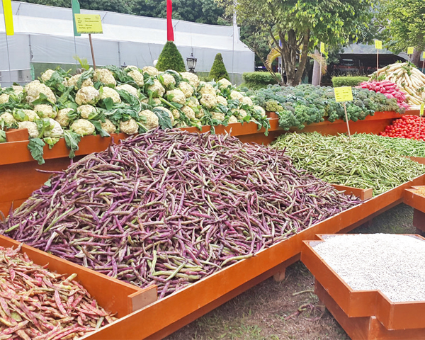 How Sikkim could offer lessons to other states in organic farming - The ...