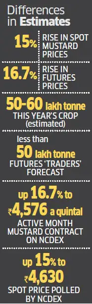 Mustard prices rise 15%; traders wonder why - The Economic Times