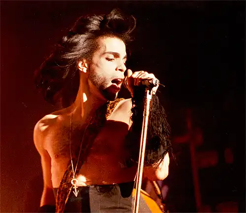 In Pics: The life and times of pop icon Prince - The Economic Times