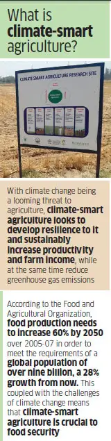 How climate-smart agriculture is crucial for India's food security at a ...
