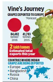 India doubles its grape exports to Europe - The Economic Times