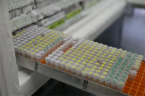 New method to create 3D nanoparticles from DNA - The Economic Times