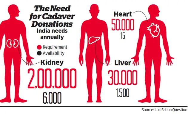 How cadaver organ donation could turn government hospitals into donor ...