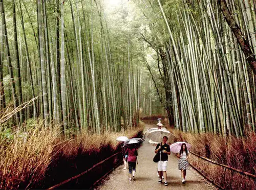 Five travel experiences you should not miss when visiting Japan - The ...