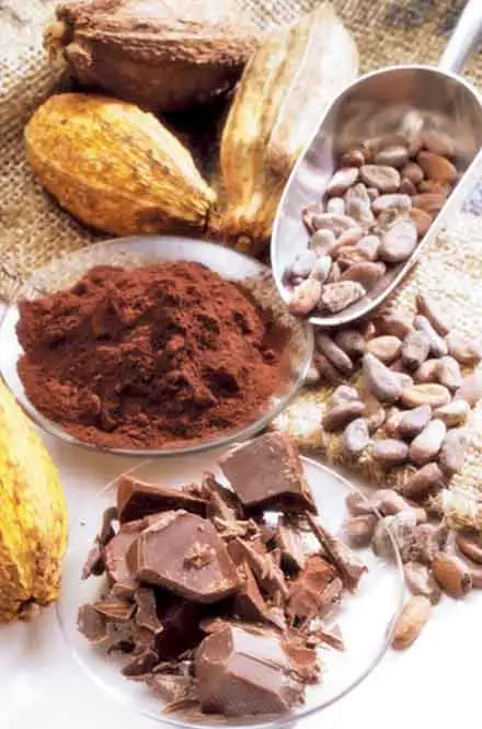 How India is taking its first brave bites of gourmet chocolate - The ...