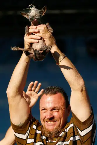 Meet the World's Ugliest Dog - SweePee Rambo! - The Economic Times
