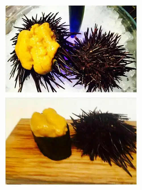 Try 'uni', the edible part of sea urchin at Yuuka - The Economic Times