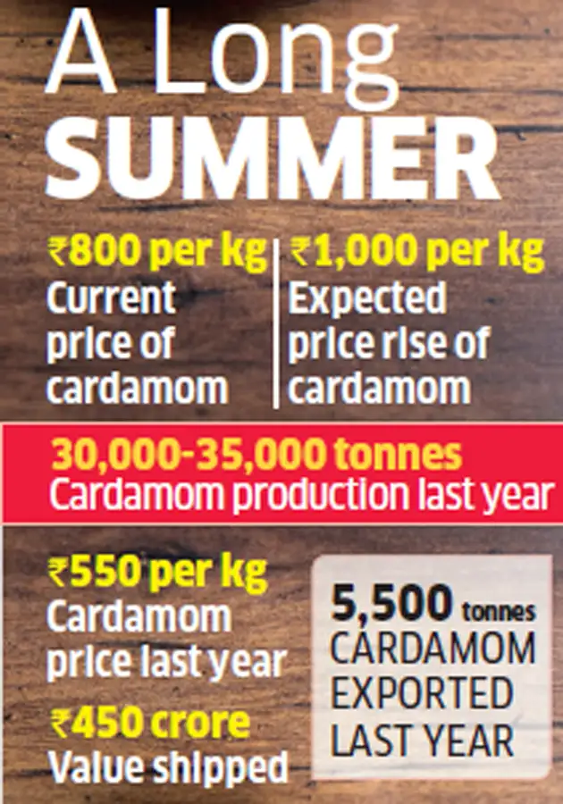 Harvest delay, high prices take spice out of cardamom - The Economic Times