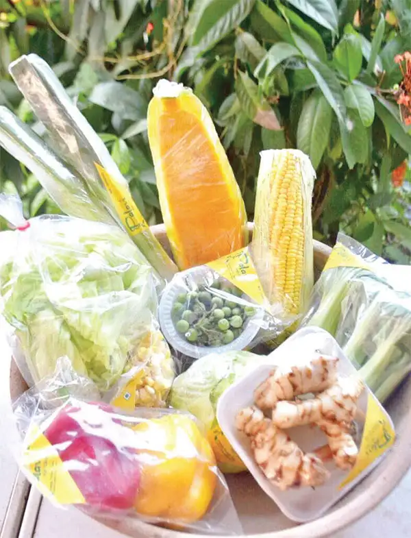 Agri farms leveraging a growing demand for exotic vegetables and spices ...