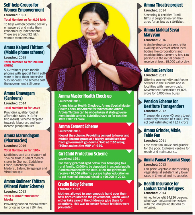 Why Amma is a darling - The Economic Times
