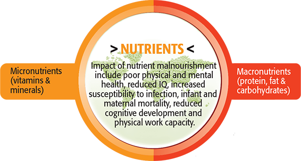 Food enrichment for a healthier India - The Economic Times