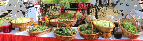 From marijuana dishes to natural ingredients, here are the food trends ...