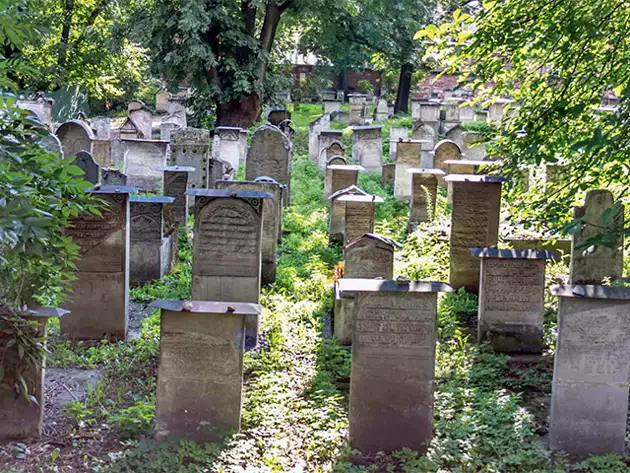 Nazi: Krakow: City carrying scars of Nazi occupation now crackles with ...