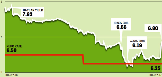 RBI policy: RBI puts rate cuts on hold: Which debt MFs should you buy now?