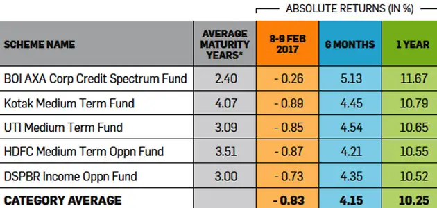 RBI policy: RBI puts rate cuts on hold: Which debt MFs should you buy now?