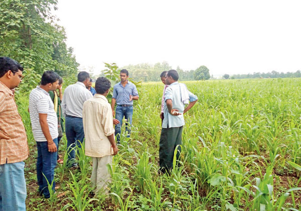 Maharashtra to have India’s first ideal digital village - The Economic ...