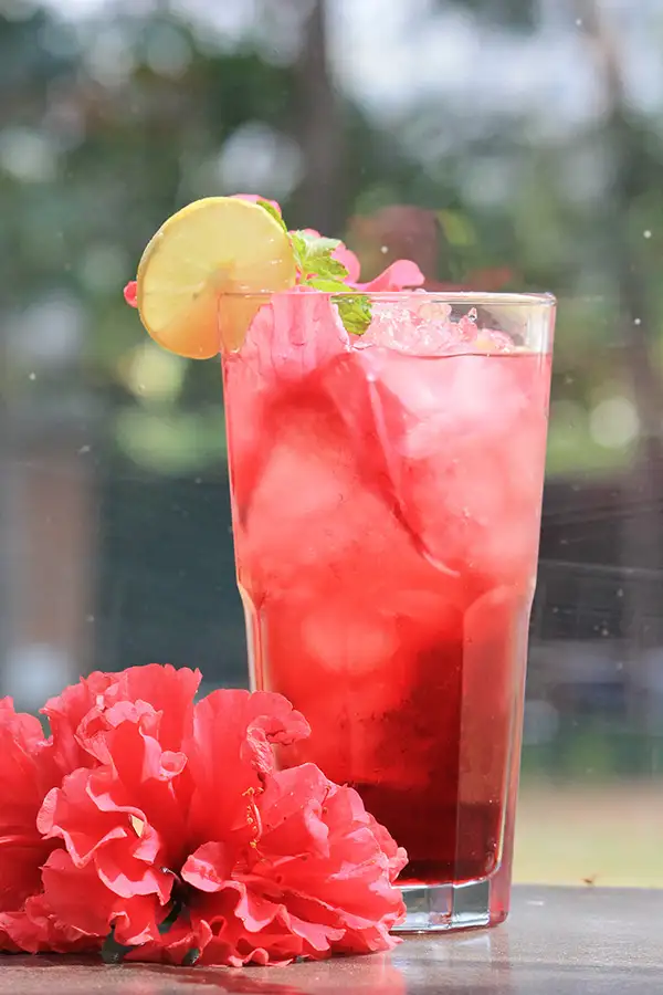 Summer Drinks Recipe: Pick-me-up summer coolers that combine health and ...