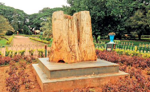Layers of Lalbagh: From rocks dating back to 3,000 mn years and a ...