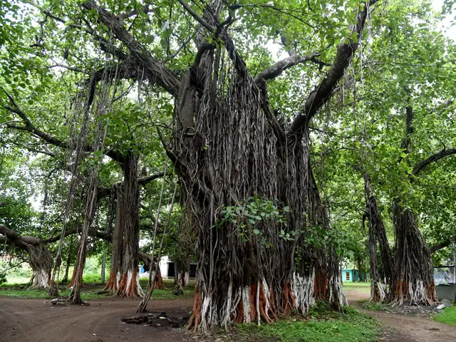 Madhya Pradesh: Madhya Pradesh gets the 'Best Tourism State' award for ...