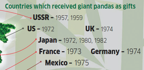 Panda: The story of Chinese Panda and its diplomatic strength - The ...