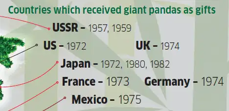 Panda: The story of Chinese Panda and its diplomatic strength - The ...