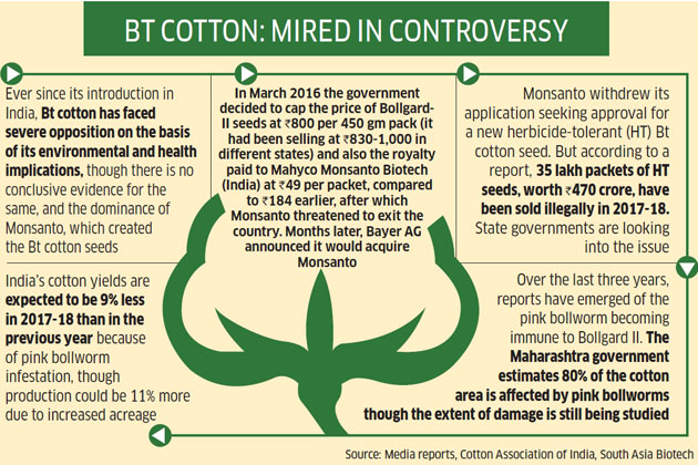 BT Cotton: These two issues could put the brakes on the Bt cotton story ...