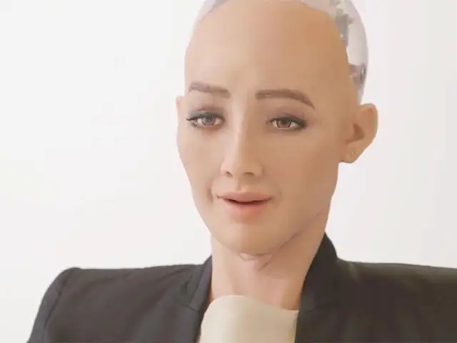 Robotic Citizen: World's first robotic citizen Sophia to help drive ...