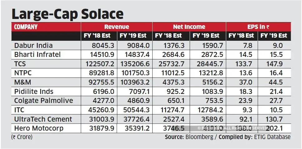large cap stocks: Quality largecap stocks could be better bets as risk ...
