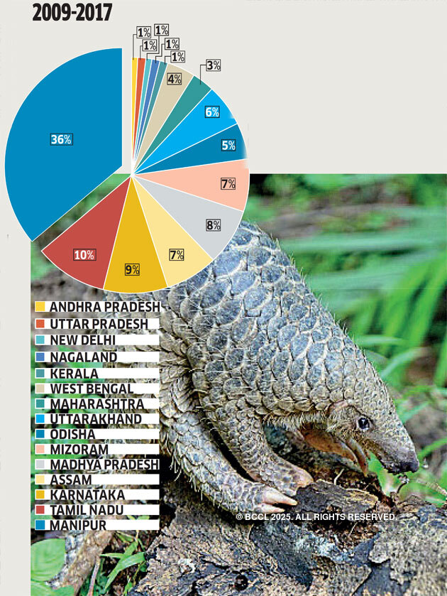 pangolin day: 17 February is celebrated as World Pangolin Day - The ...