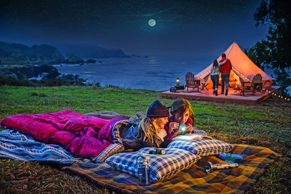 A spectacular fireworks display over Washington, D.C. - The Economic Times