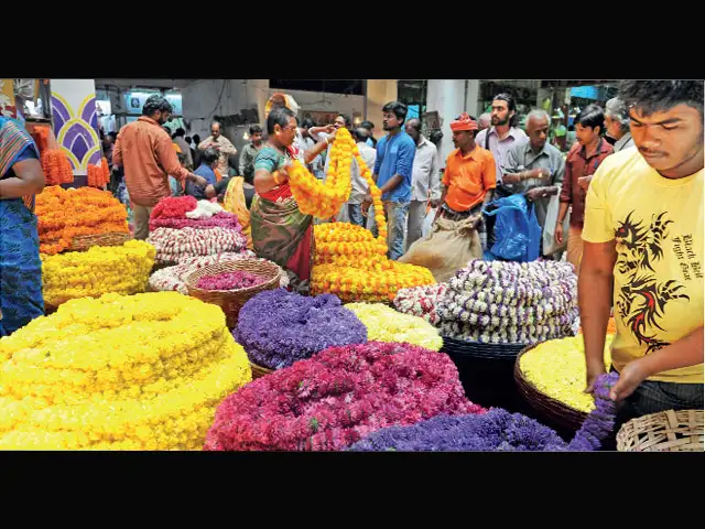 From celebrating Gudi Padwa to attending Navras: Draw up a plan for ...