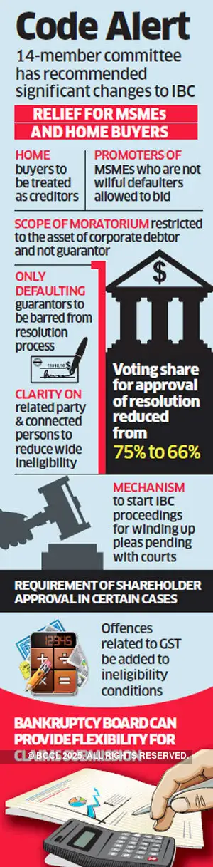 IBC: Law Panel’s suggestions on IBC now in public domain - The Economic ...