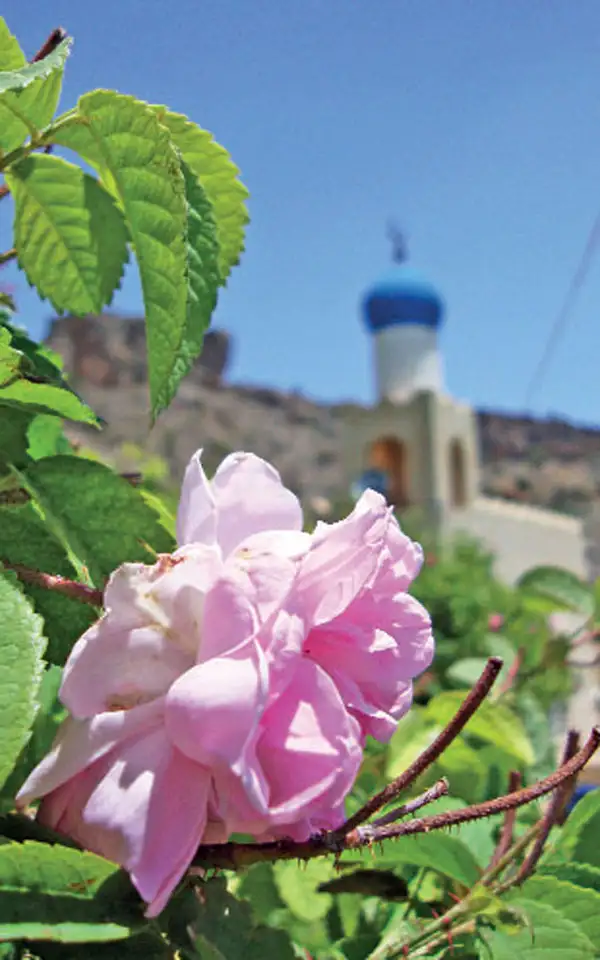 Austria, Cambodia or Oman: Indulge in active holidays for your next ...