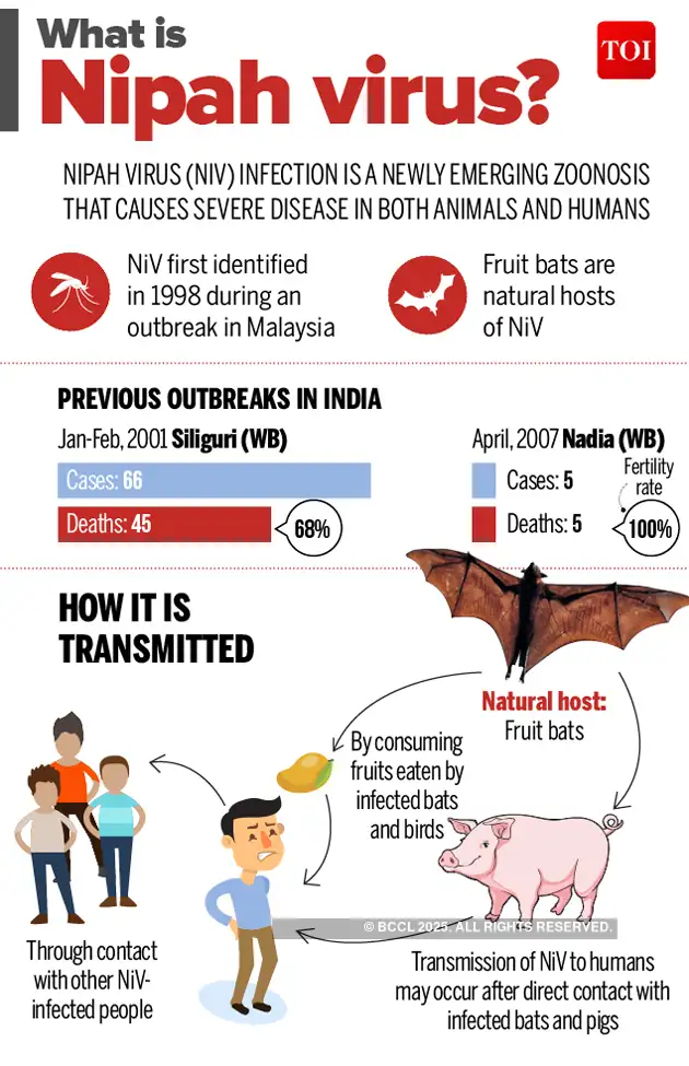 Nipah Virus: All about Nipah, the virus that has entire Kerala in panic mode