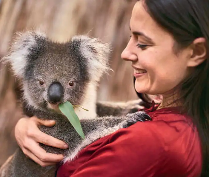 Adelaide: Here’s why Adelaide should be on your bucket list - The ...
