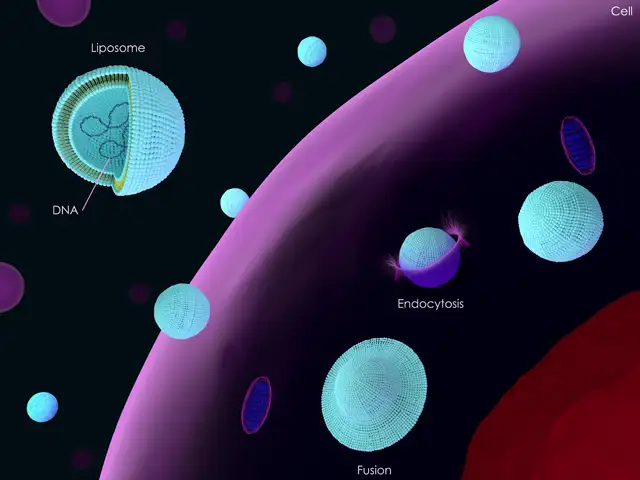 x-ray nano-bubbles: New drug, filled, with nano-bubbles, spells hope ...