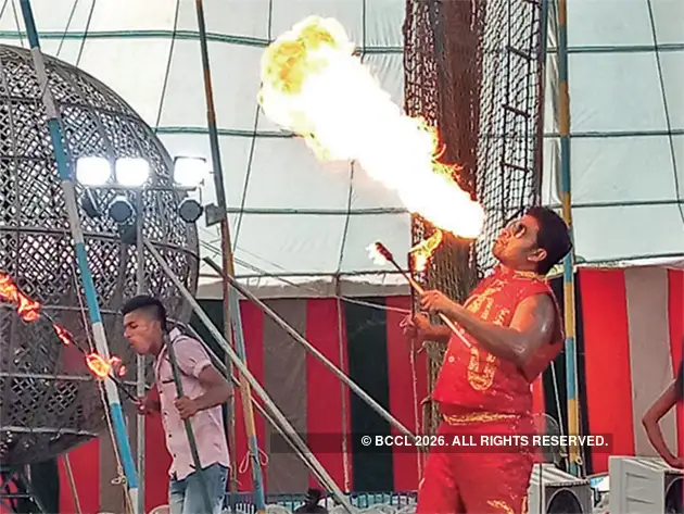 In the charmed circle of the circus - The Economic Times