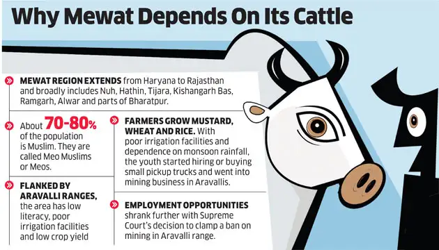 Checkpoints at Mewat: Farmers complain of extortion in the name of cow ...