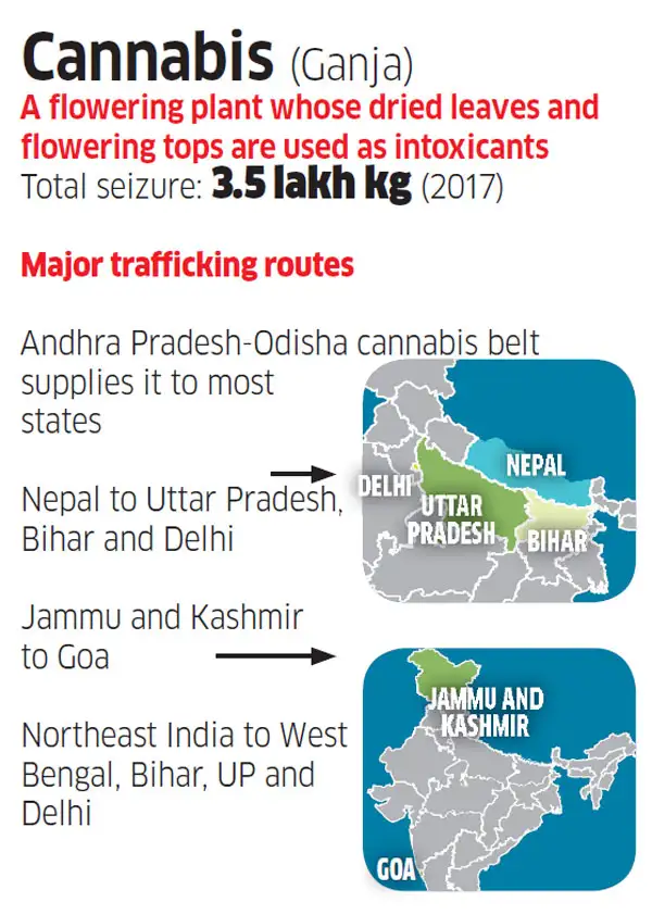 Drugs: Andhra Pradesh's north eastern hilly belt fast becoming cannabis ...