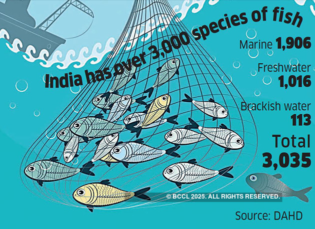 Fish farms to produce nearly two thirds of India's fish supply by 2030 ...