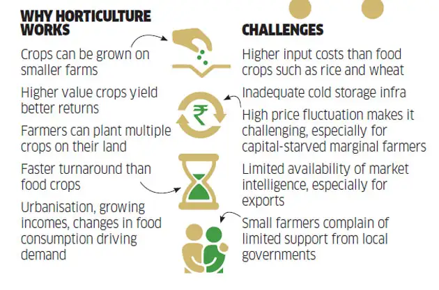 horticulture: As a horticulture boom pushes up farm incomes, here are ...
